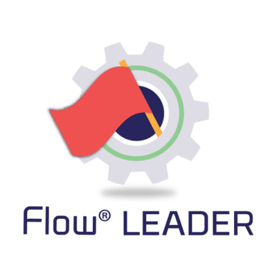 DISC Flow Assessments - Emovation